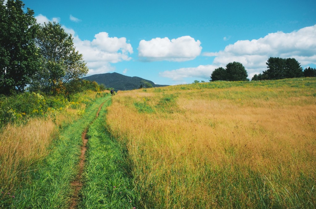 Vermont: The Roly Grail of ‘Bikes and Beer’ Destinations? - BIKEPACKING.com