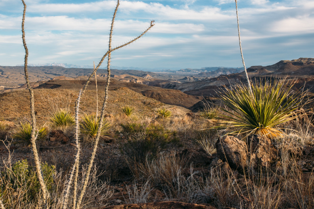 Post-Texas Beer: La Cumbre Elevated IPA - BIKEPACKING.com