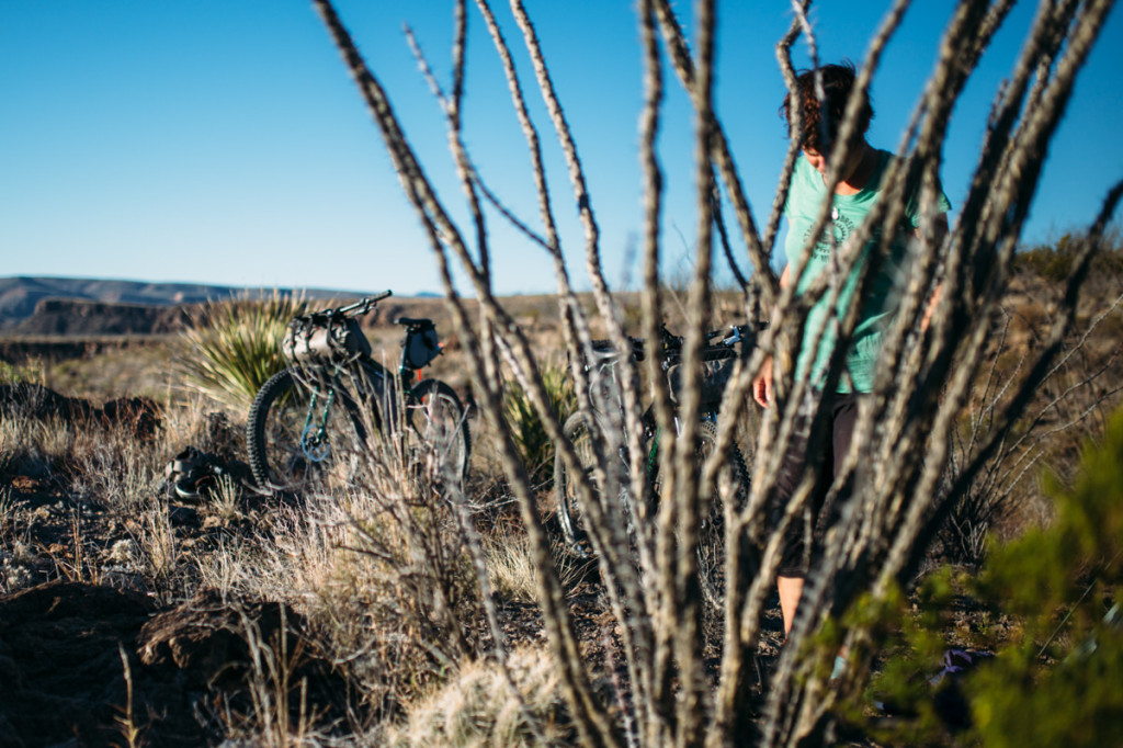 Post-Texas Beer: La Cumbre Elevated IPA - BIKEPACKING.com