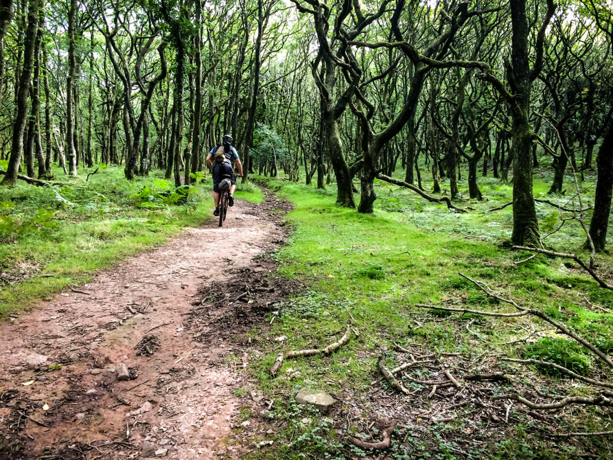 Bikepacking Exmoor & Quantock - BIKEPACKING.com