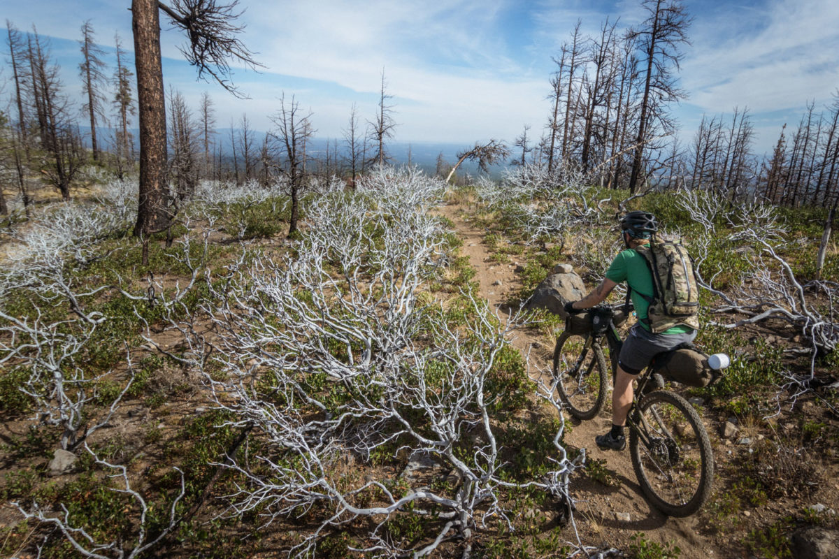 Oregon Timber Trail - BIKEPACKING.com
