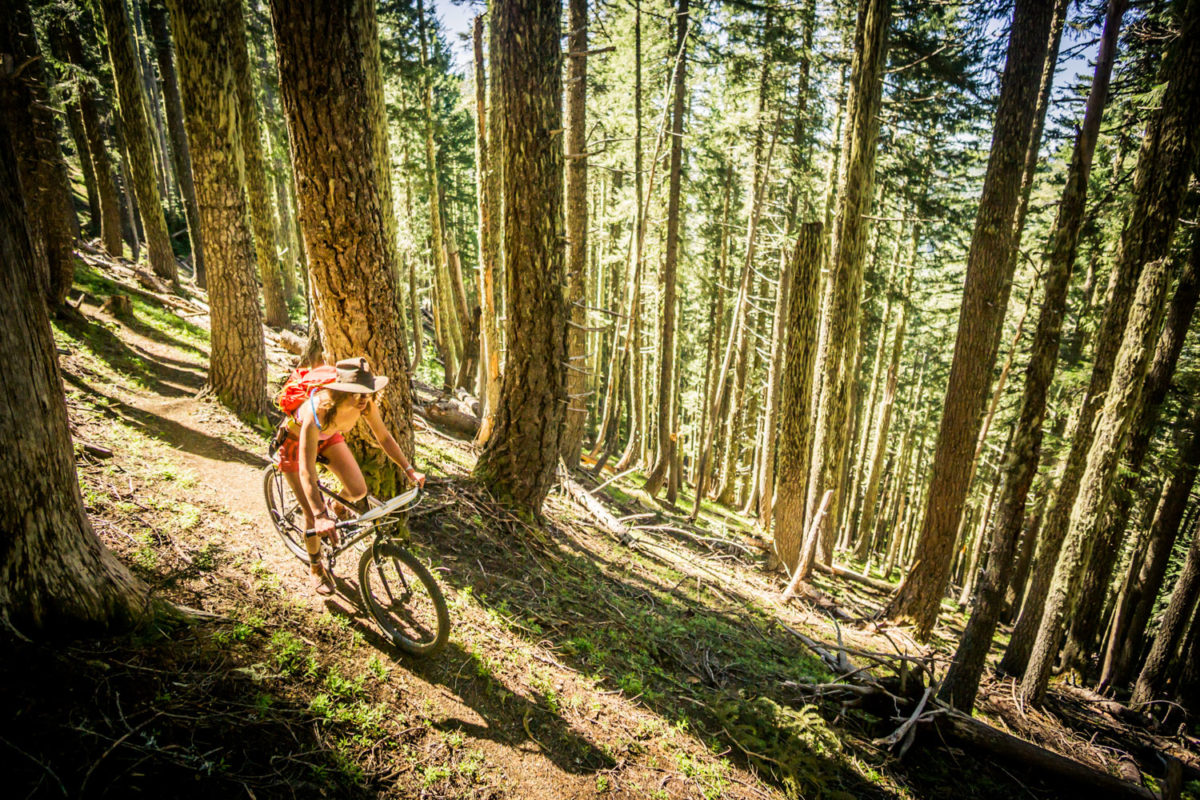 Oregon Timber Trail - BIKEPACKING.com