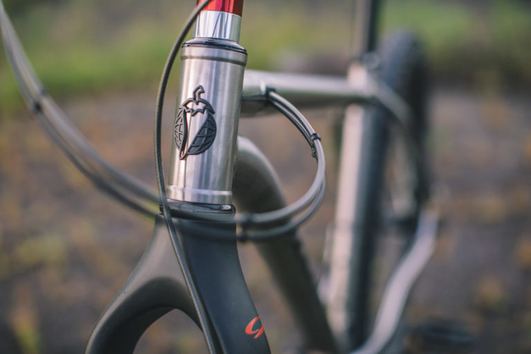 Logan's Salsa Timberjack Ti, Space Metal! - BIKEPACKING.com