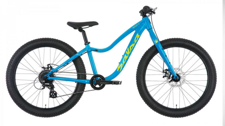 Salsa Timberjack Kids 20 and 24 - BIKEPACKING.com