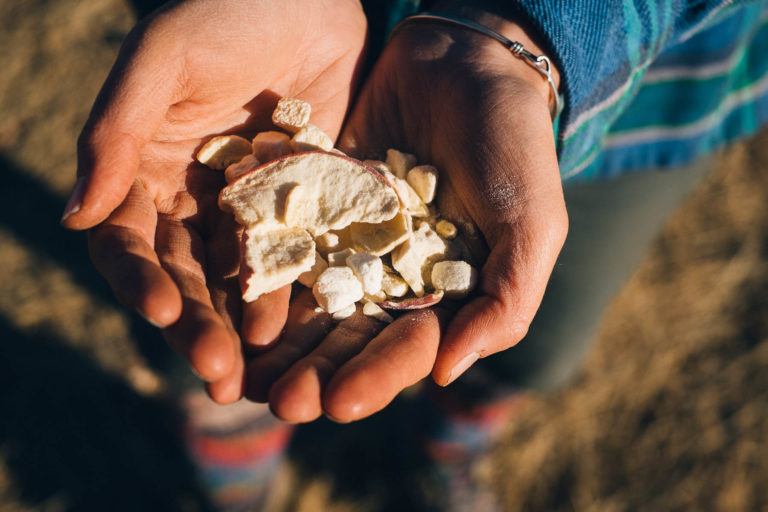 Paleo Meals to Go Review - BIKEPACKING.com