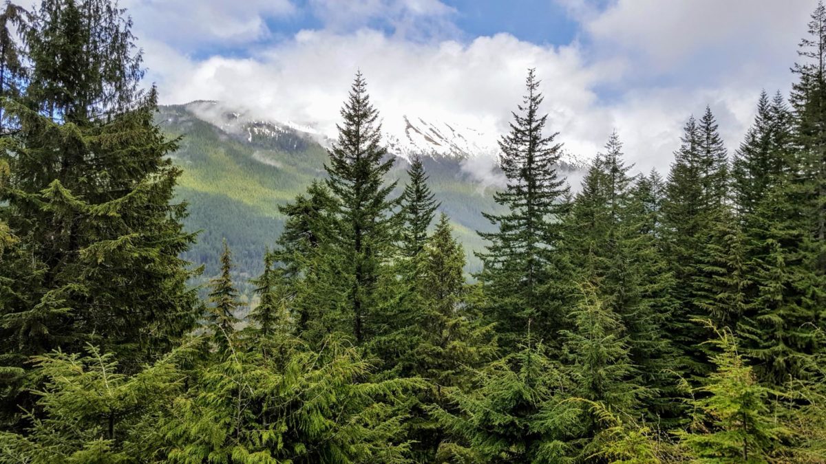 Cross-Washington Mountain Bike Route (XWA) - BIKEPACKING.com