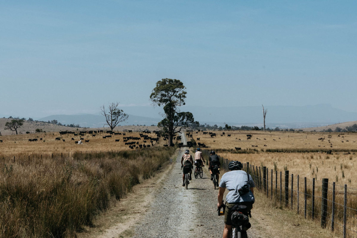 Curve GMX Review, Titanium Overlander - BIKEPACKING.com