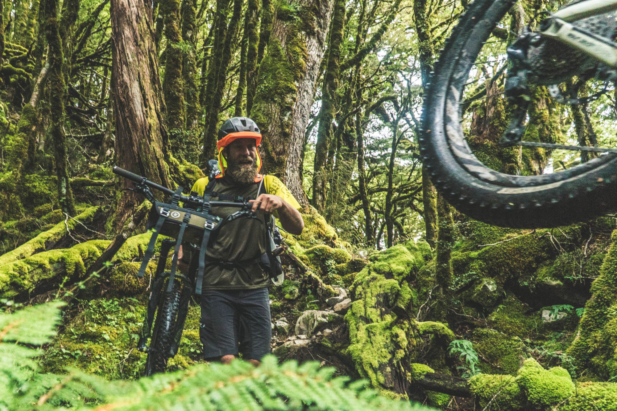 Looking Down is Looking Up - BIKEPACKING.com