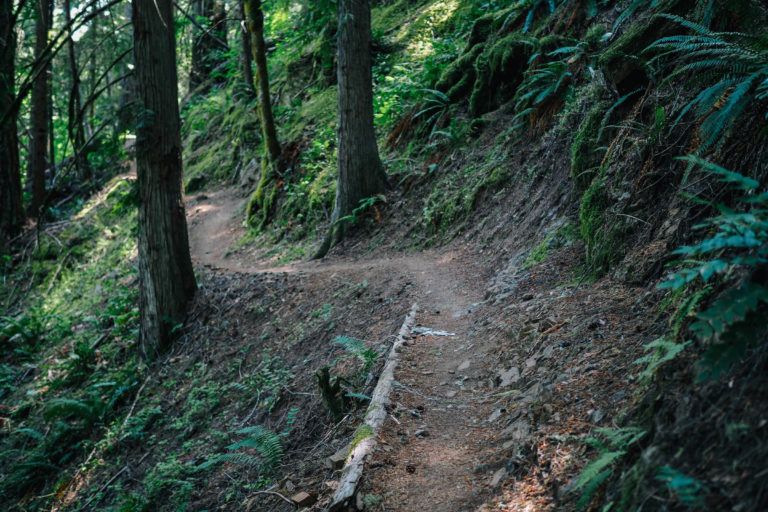 The Oregon Timber Trail Grand Depart (2021) - BIKEPACKING.com