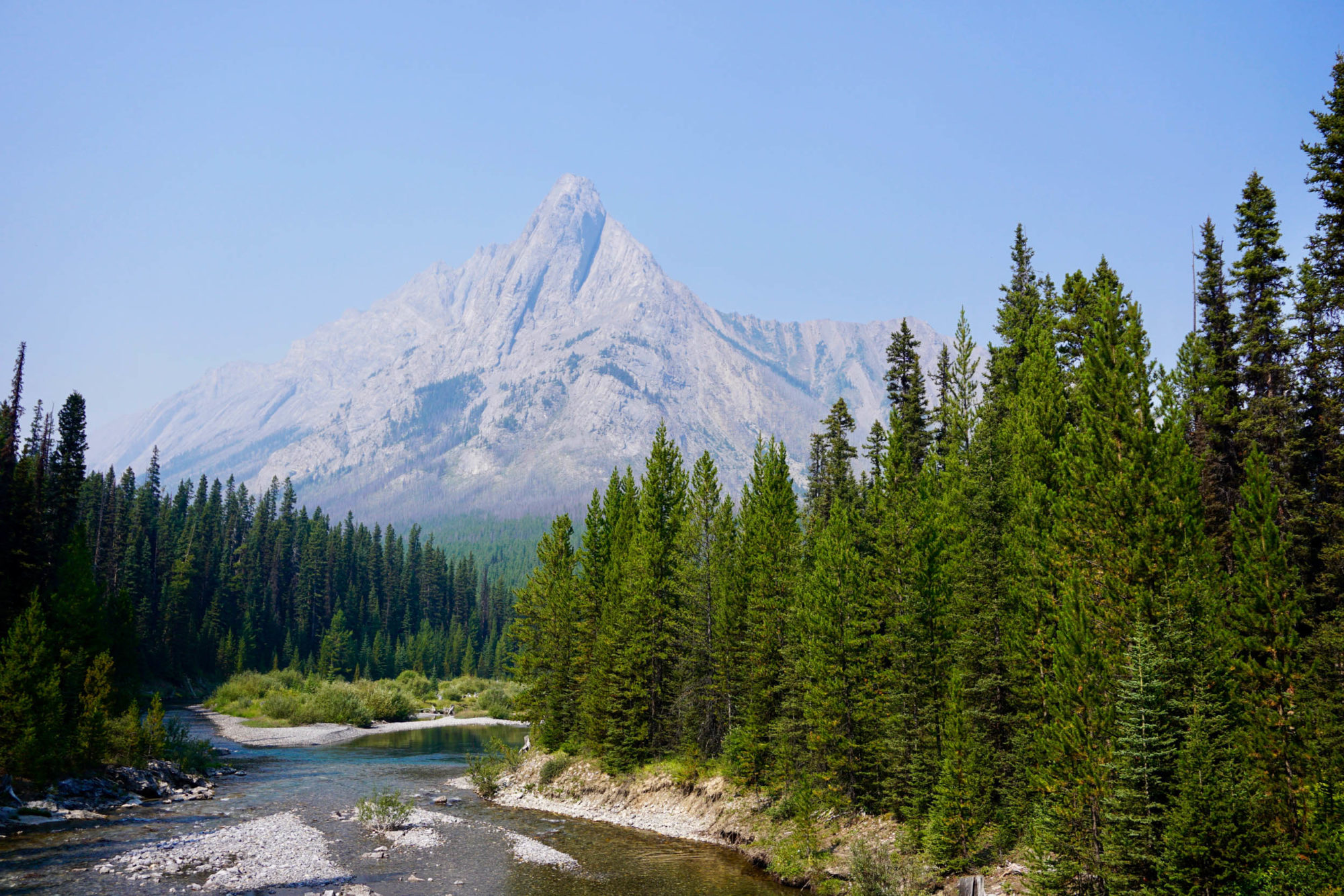 The Real Moose Heaven: Bikepacking the GDMBR - BIKEPACKING.com