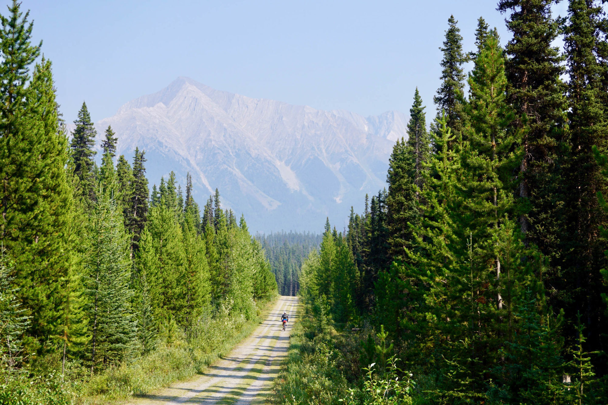 The Real Moose Heaven: Bikepacking the GDMBR - BIKEPACKING.com