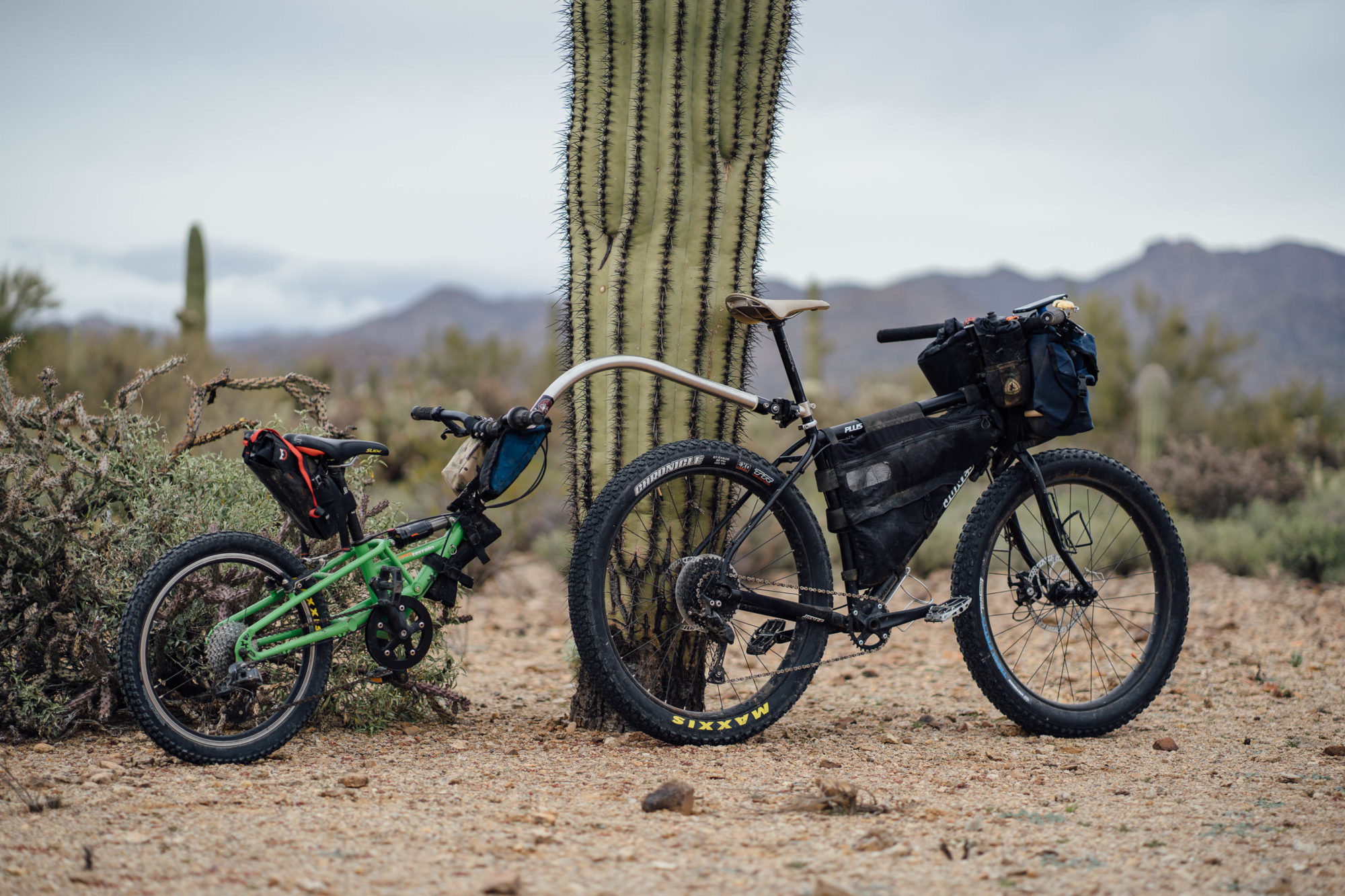 Bikepacking with a Trailer, List of Bicycle Trailers - BIKEPACKING.com