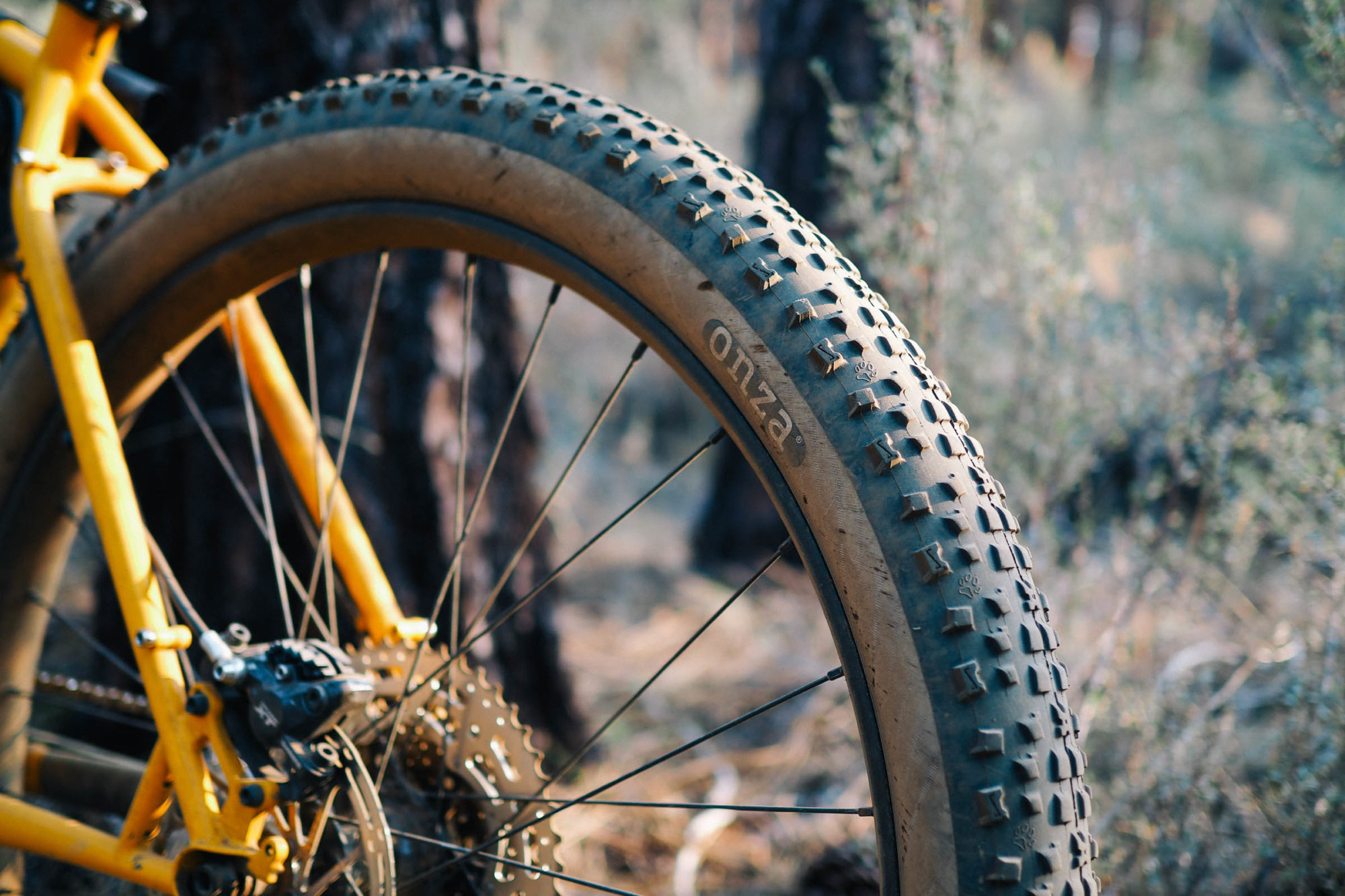 Onza Canis 27.5 x 2.85” Skinwall Tires: Long Term Review - BIKEPACKING.com