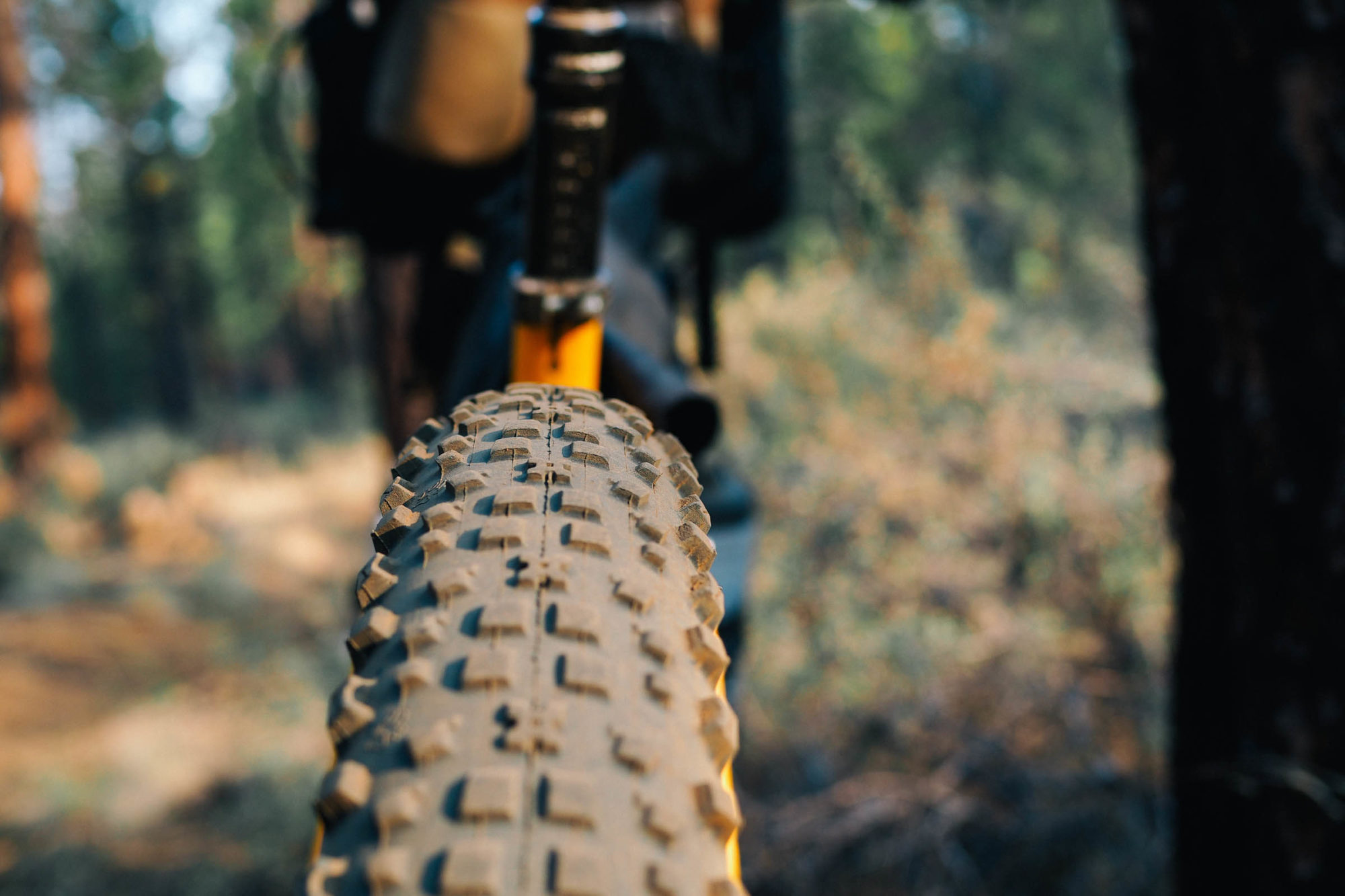 Onza Canis 27.5 x 2.85” Skinwall Tires: Long Term Review - BIKEPACKING.com