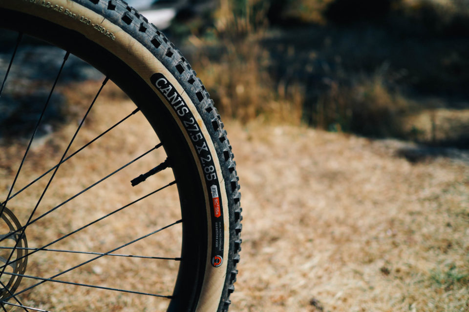 Onza Canis 27.5 x 2.85” Skinwall Tires: Long Term Review - BIKEPACKING.com