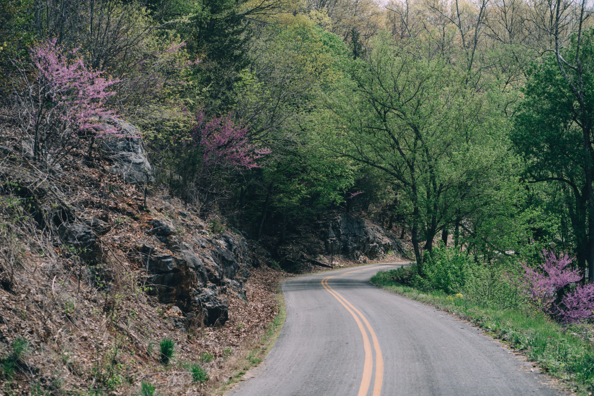 Arkansas High Country Route (Northwest Loop) - BIKEPACKING.com