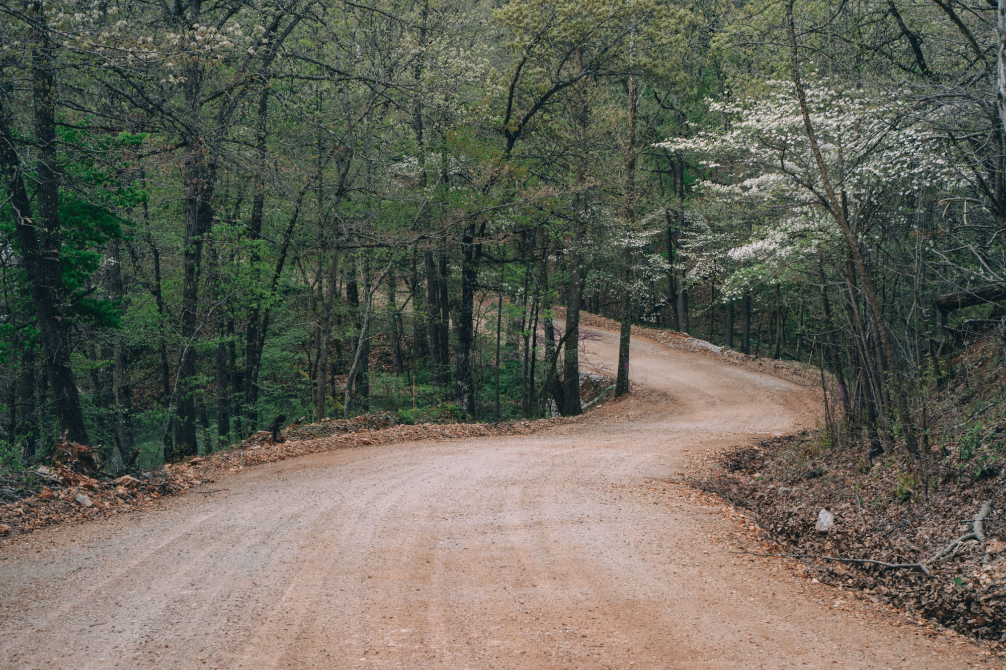 Arkansas High Country Route (Northwest Loop) - BIKEPACKING.com