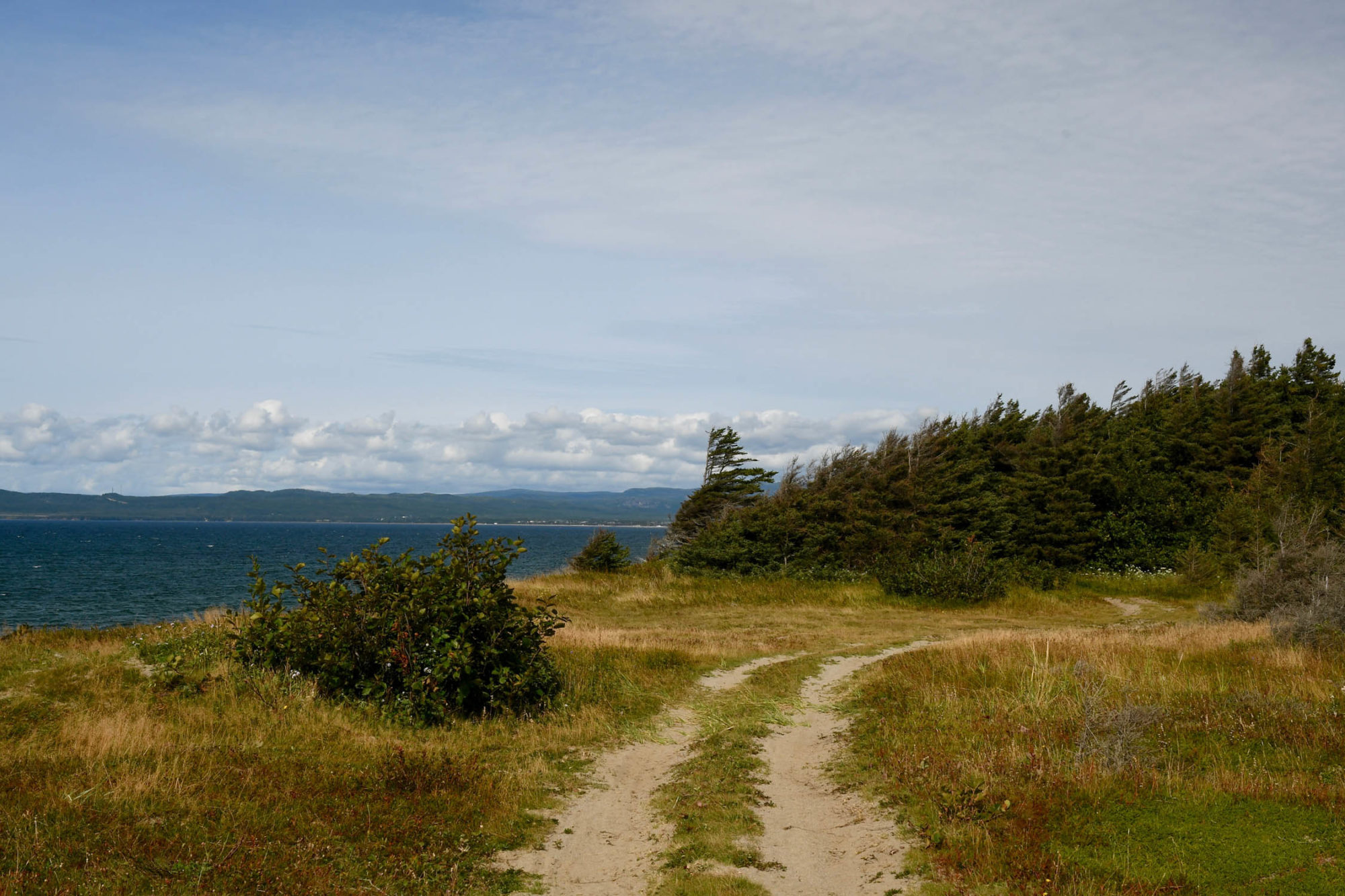 Newfoundland T’Railway - BIKEPACKING.com