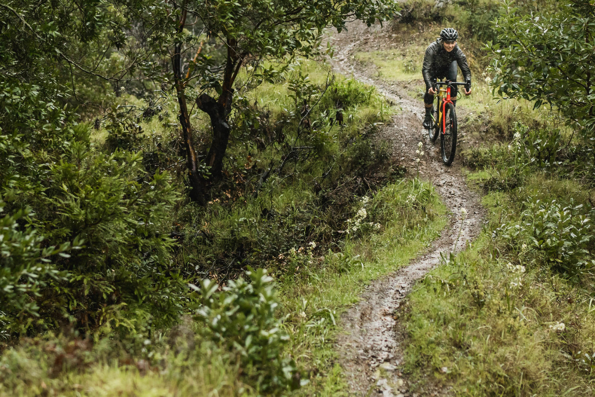WTB Venture Tires Available in 700 x 40 and 50mm Sizes - BIKEPACKING.com