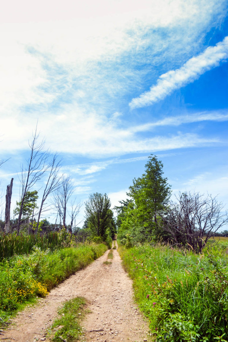 2019 BT 700: Event Recap - BIKEPACKING.com