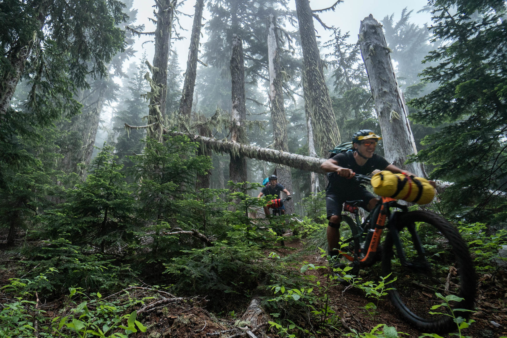 The Oregon Timber Trail (video) - BIKEPACKING.com
