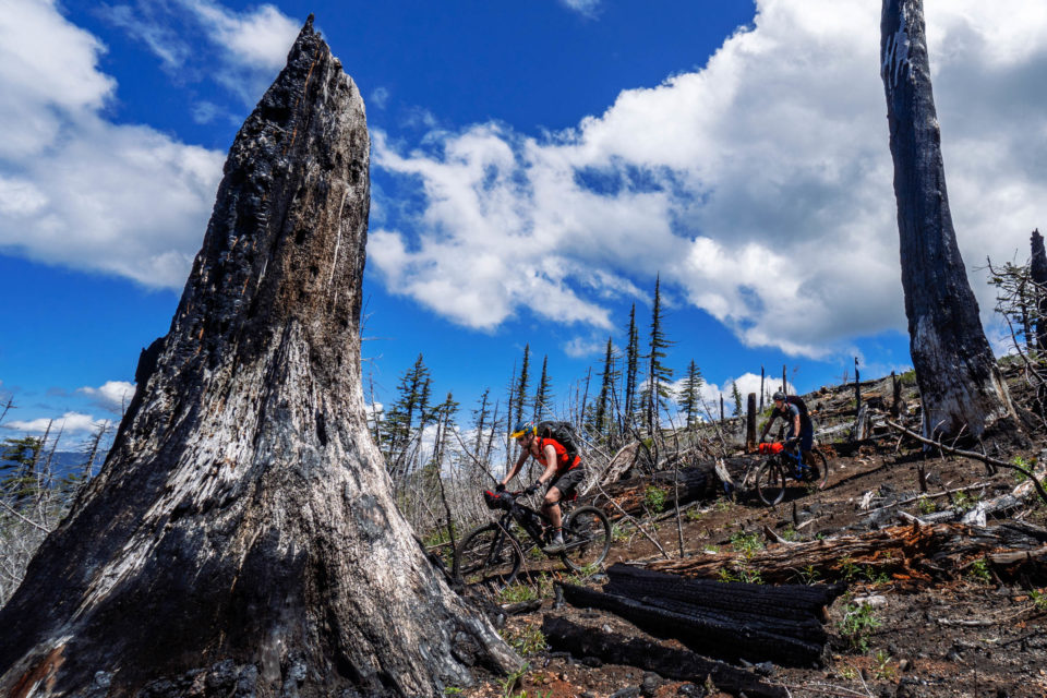 The Oregon Timber Trail (video) - BIKEPACKING.com