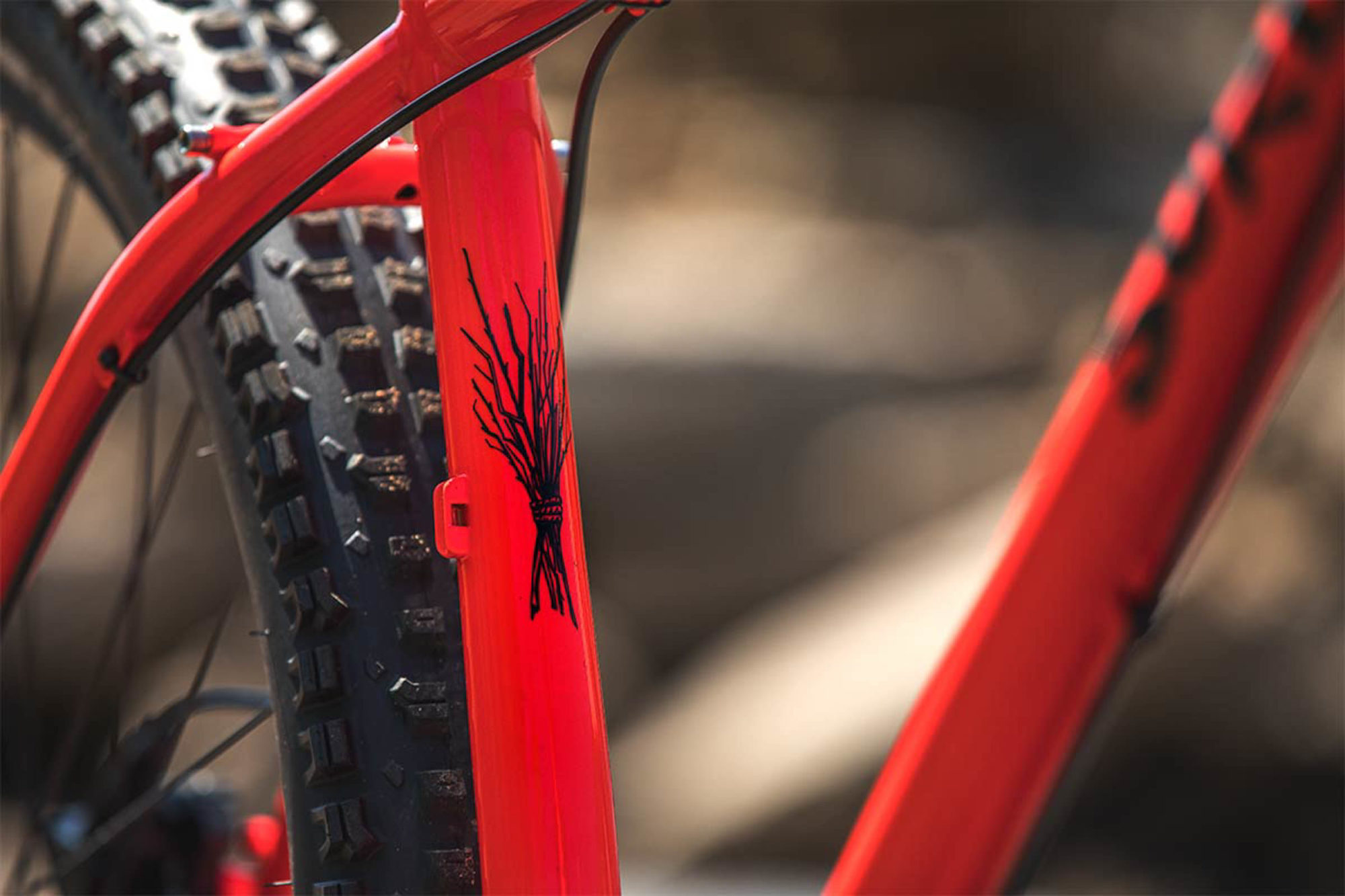 Updated Surly Krampus Builds for 2020 - BIKEPACKING.com