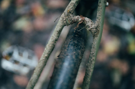 Bombtrack Hook EXT Review: More Than Just Good Looks - BIKEPACKING.com