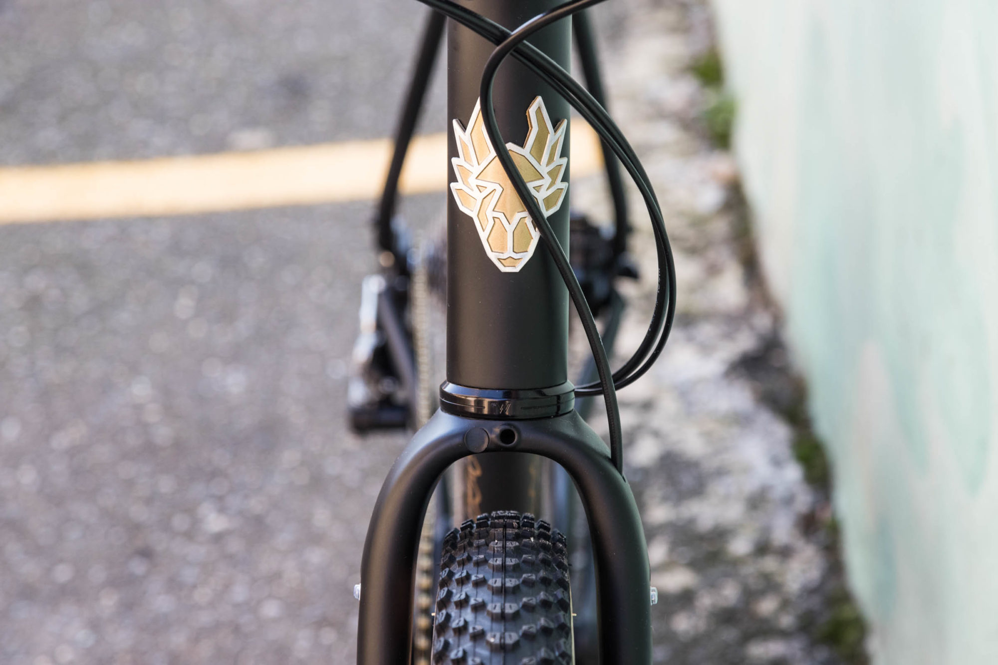 Rodeo Labs Flaanimal 5.0: First Look - BIKEPACKING.com