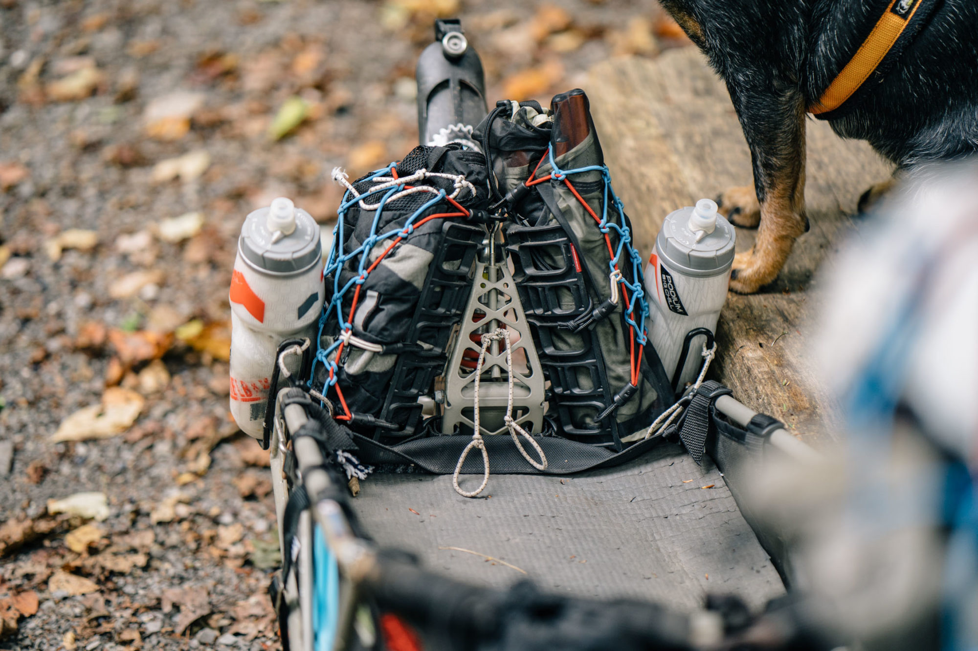 Charlie Kemp and Molly Rider's Dogpacking Rig - BIKEPACKING.com