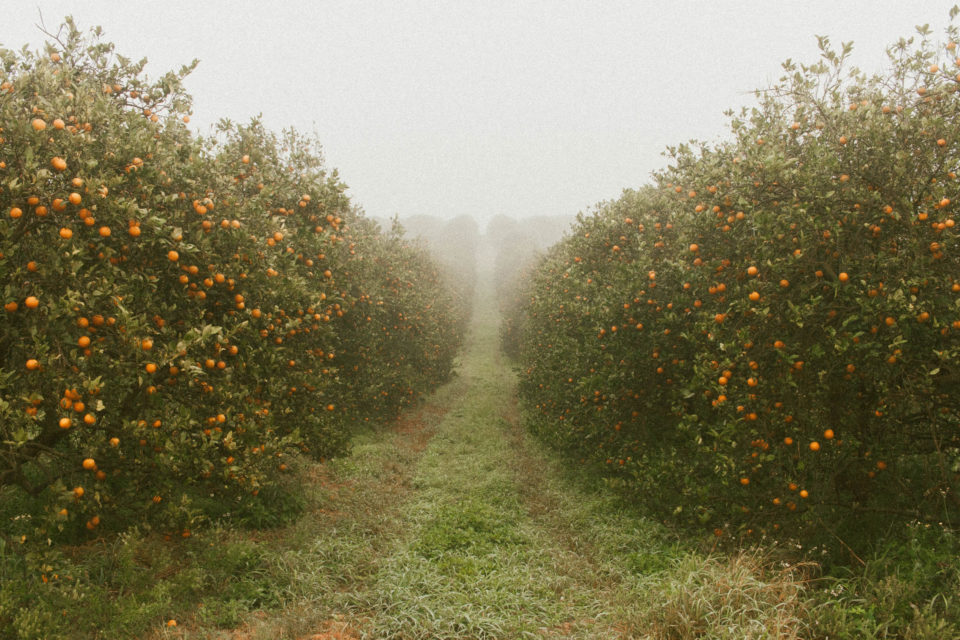 The Huracan 300 Challenge: Event Recap - BIKEPACKING.com