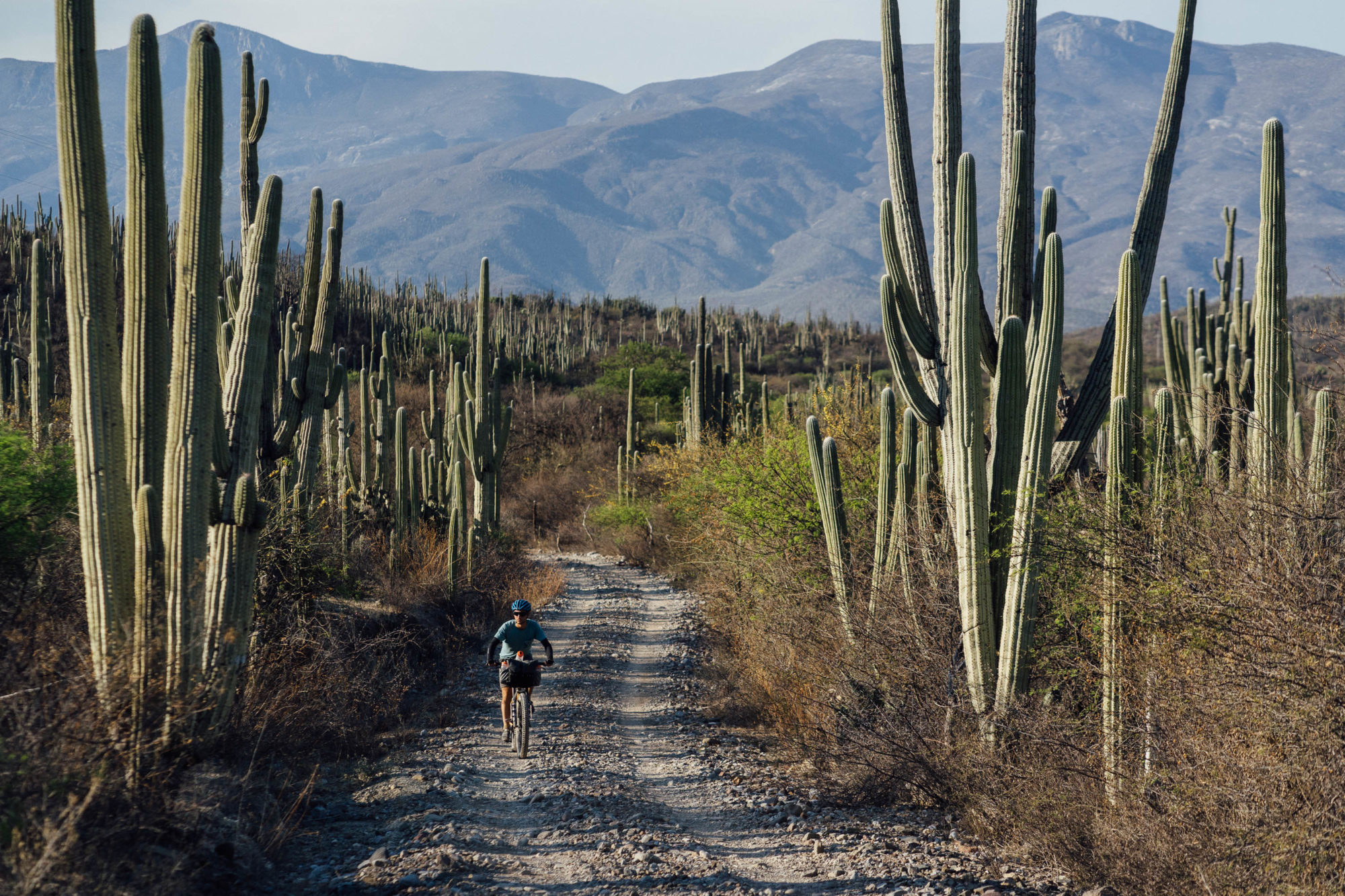 Ojos de Tehuacan (TCBR, Norte) - BIKEPACKING.com