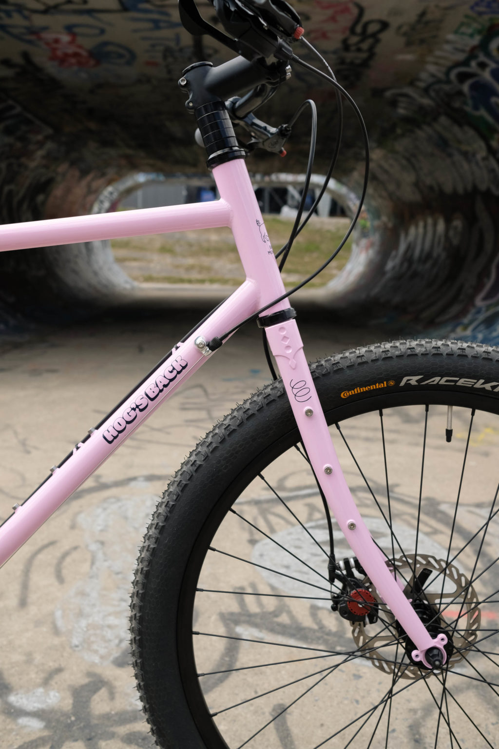 Introducing the new Bassi Bikes Hog's Back - BIKEPACKING.com
