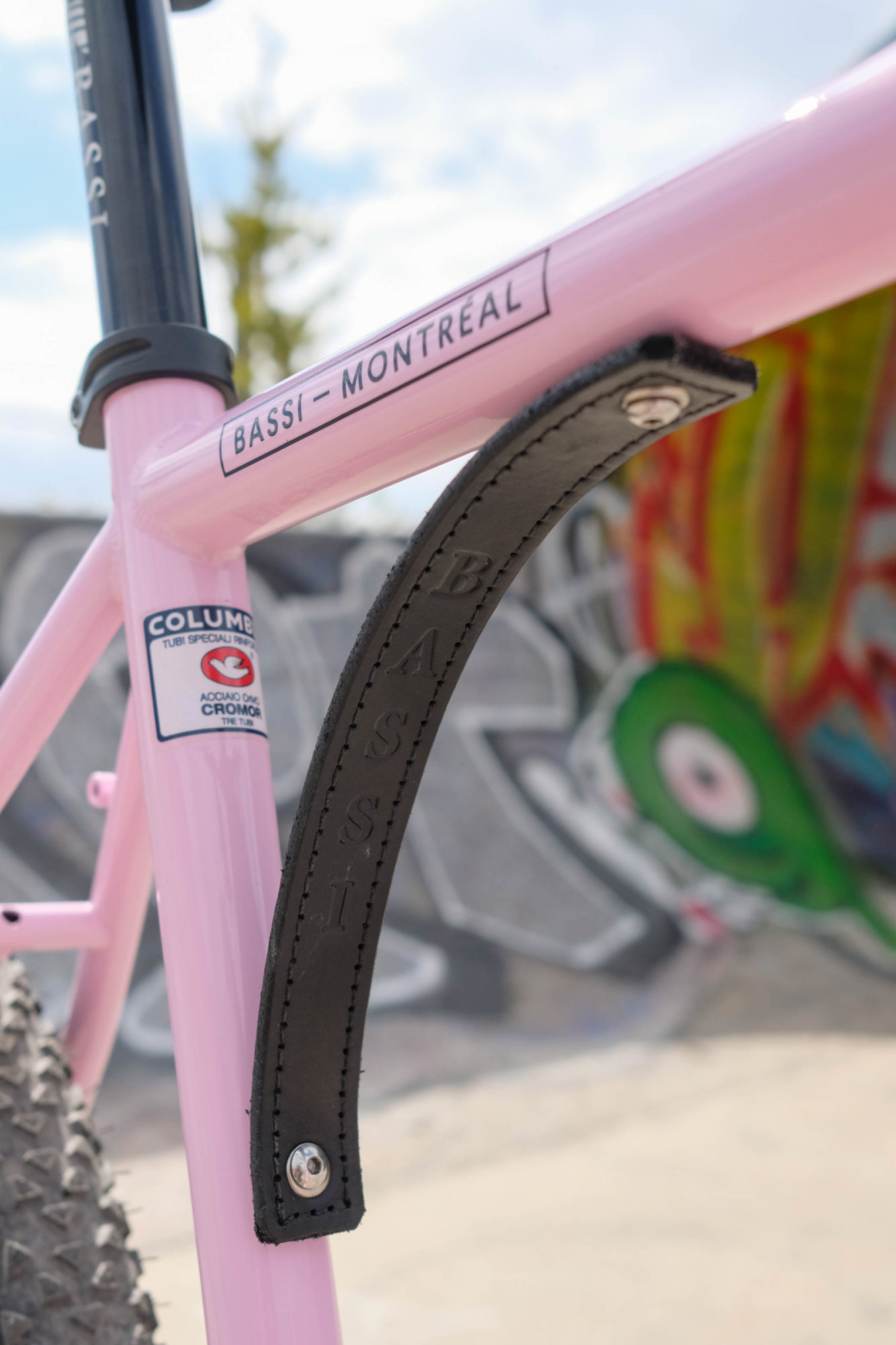 Introducing the new Bassi Bikes Hog's Back - BIKEPACKING.com