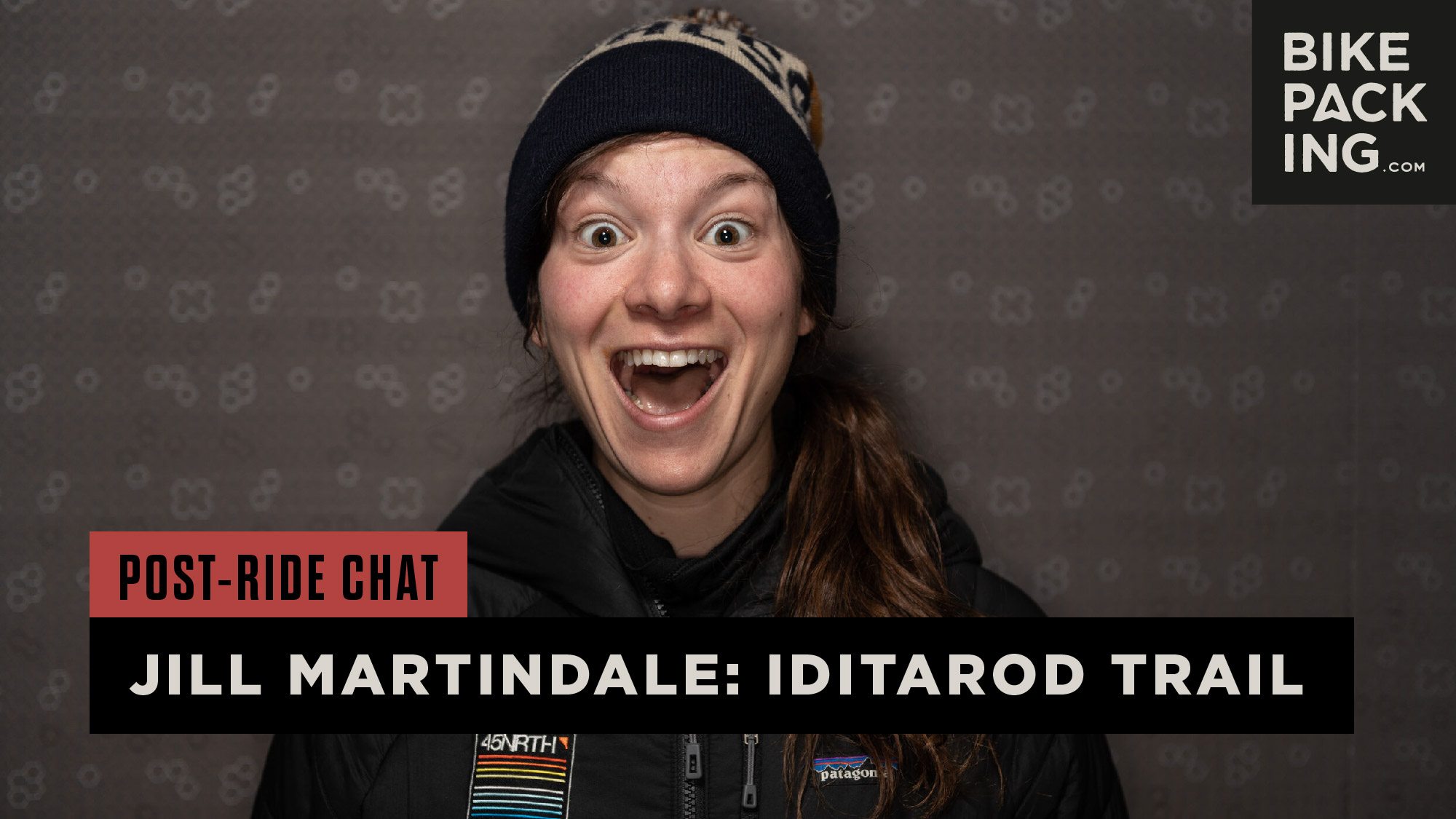 Post-ride Interview: Jill Martindale on the Iditarod Trail ...