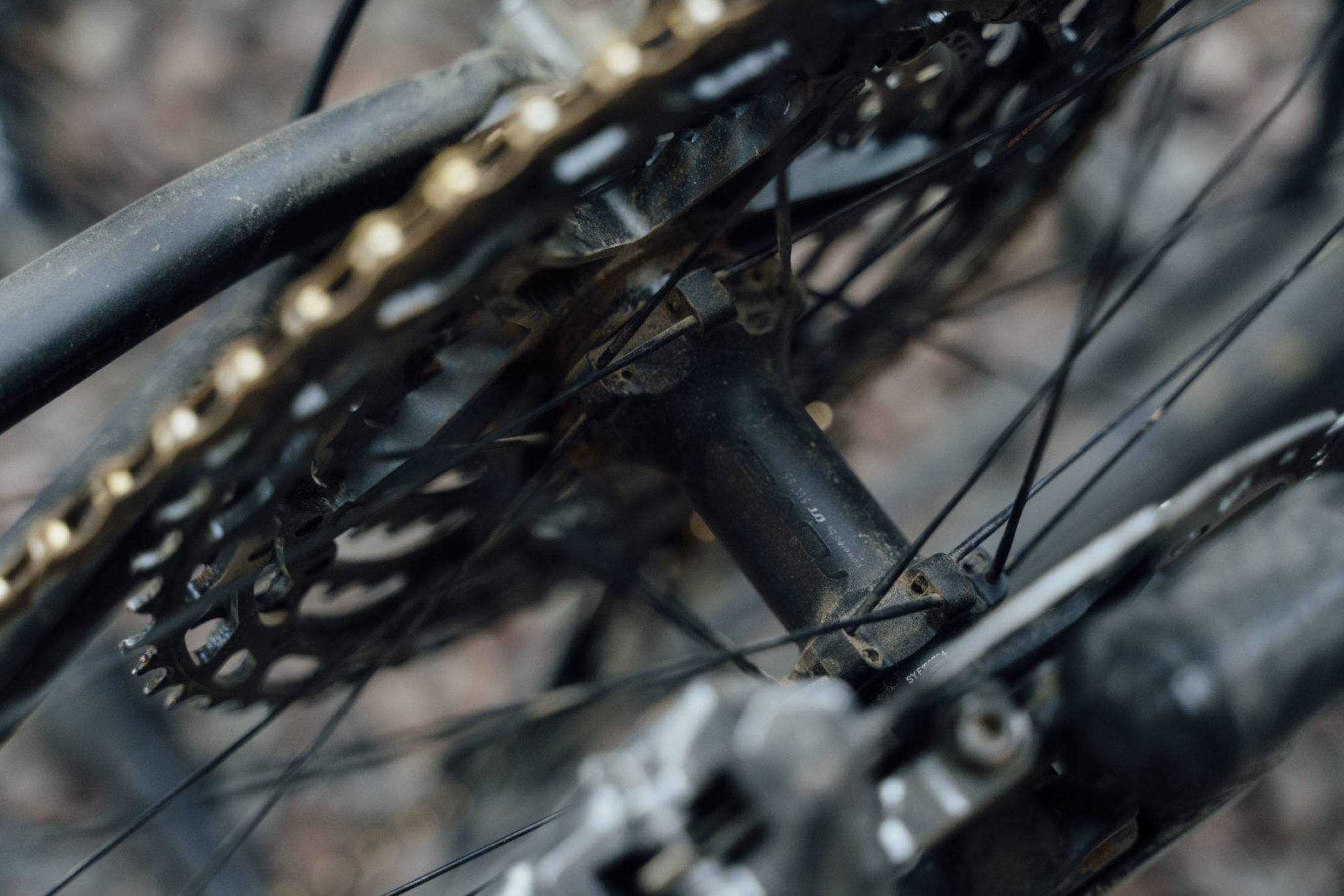 First Ride: New Roval Control SL Team LTD Wheels - BIKEPACKING.com