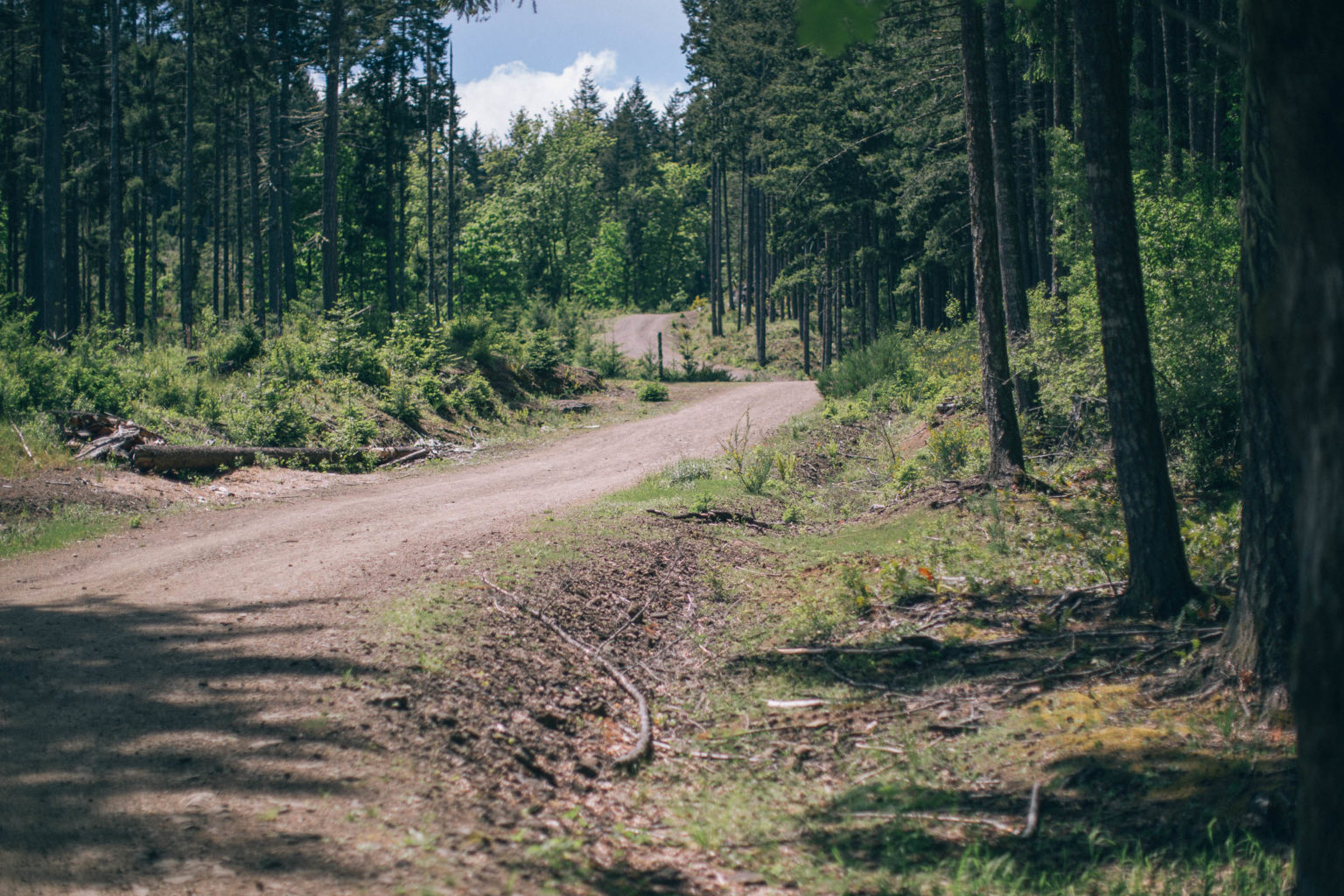 Local Layover: 48 Hours in Duncan, British Columbia - BIKEPACKING.com