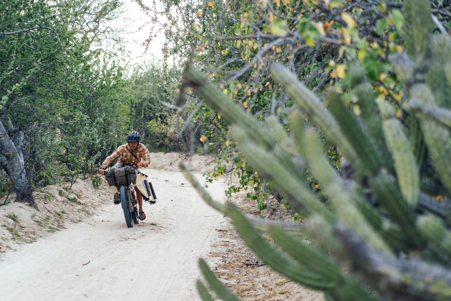 Surfing Baja's Cape Loop and a DIY Bike Surf Rack - BIKEPACKING.com