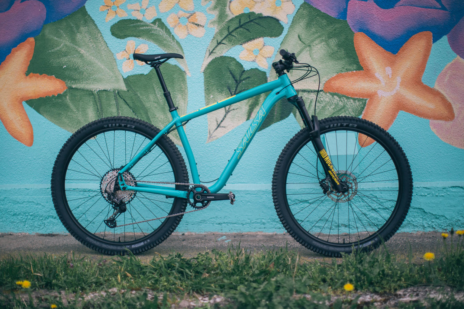 Salsa Timberjack Review: Value Meets Versatility - BIKEPACKING.com