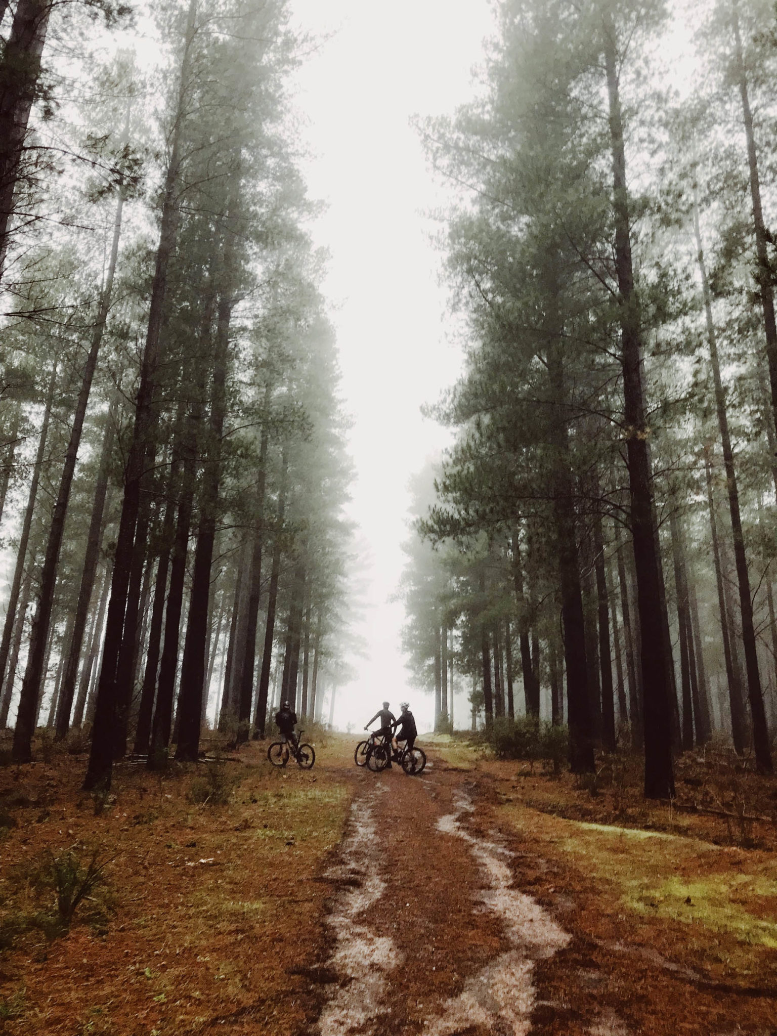 Kuitpo Forest Overnighter - BIKEPACKING.com