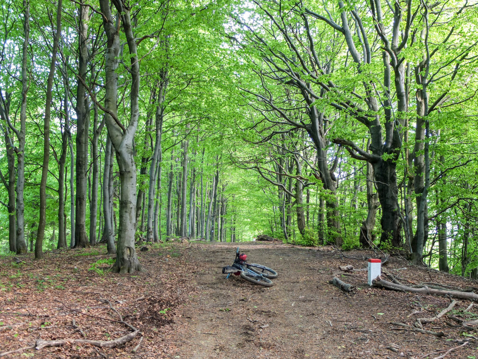 Lemkivska Kobiouka - BIKEPACKING.com