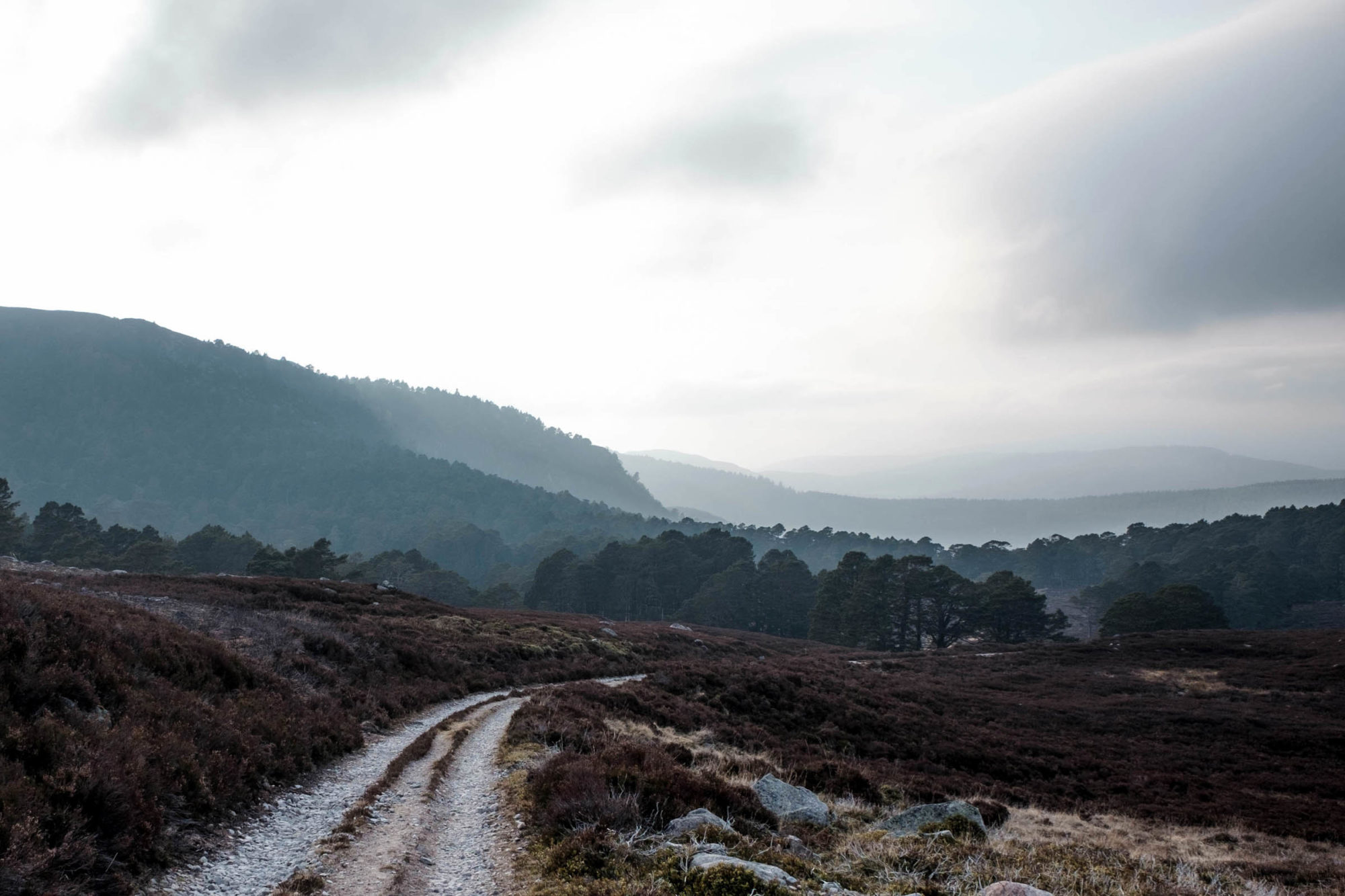 Deeside Trail - BIKEPACKING.com