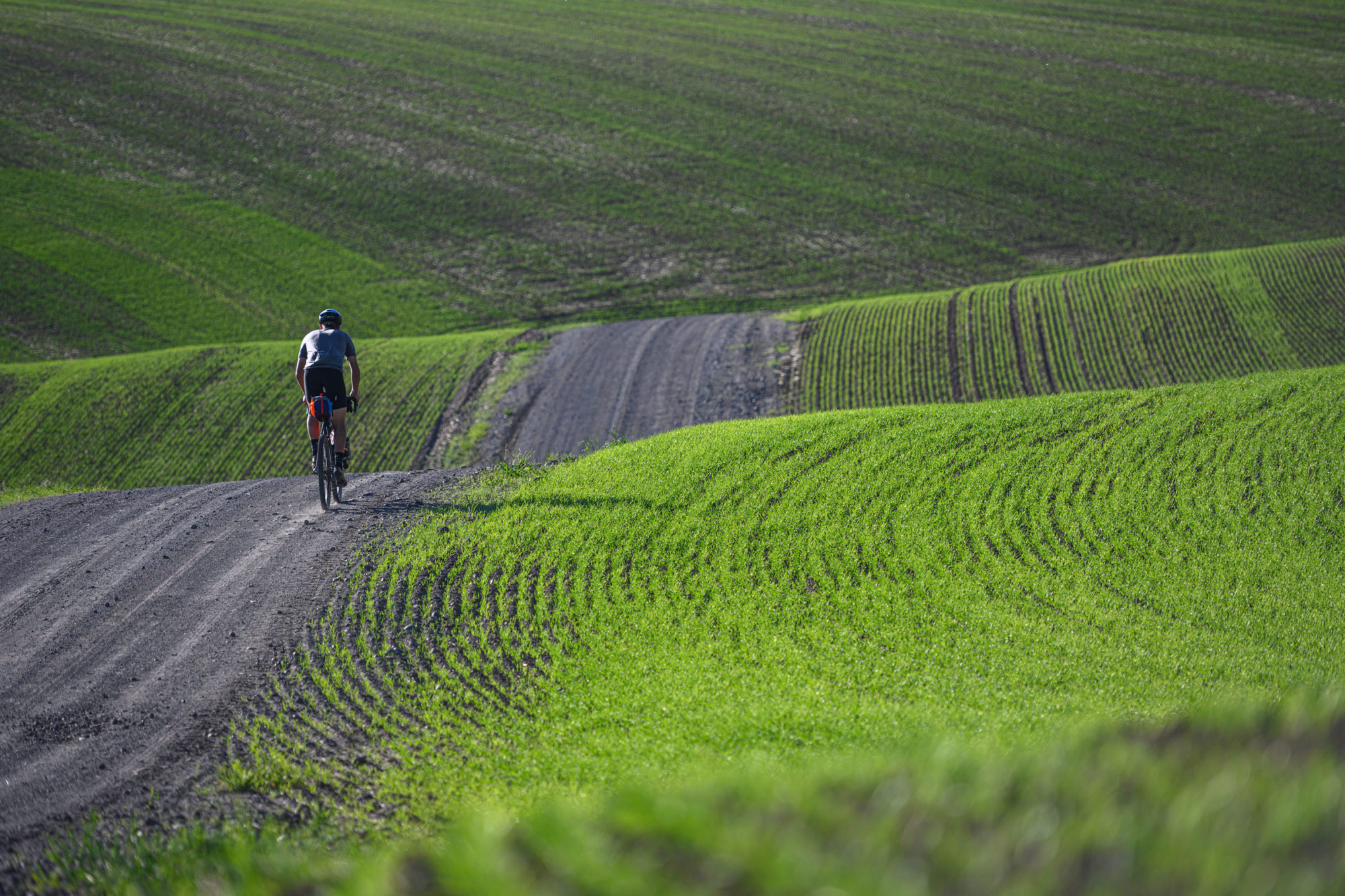 Moody Forest Loop - BIKEPACKING.com