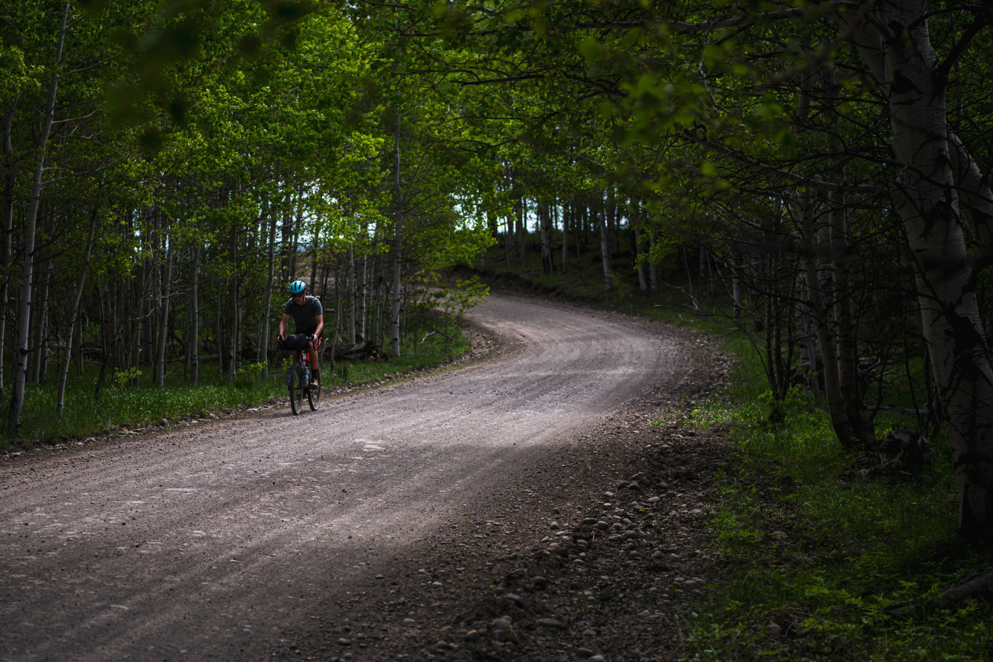 Moody Forest Loop - BIKEPACKING.com
