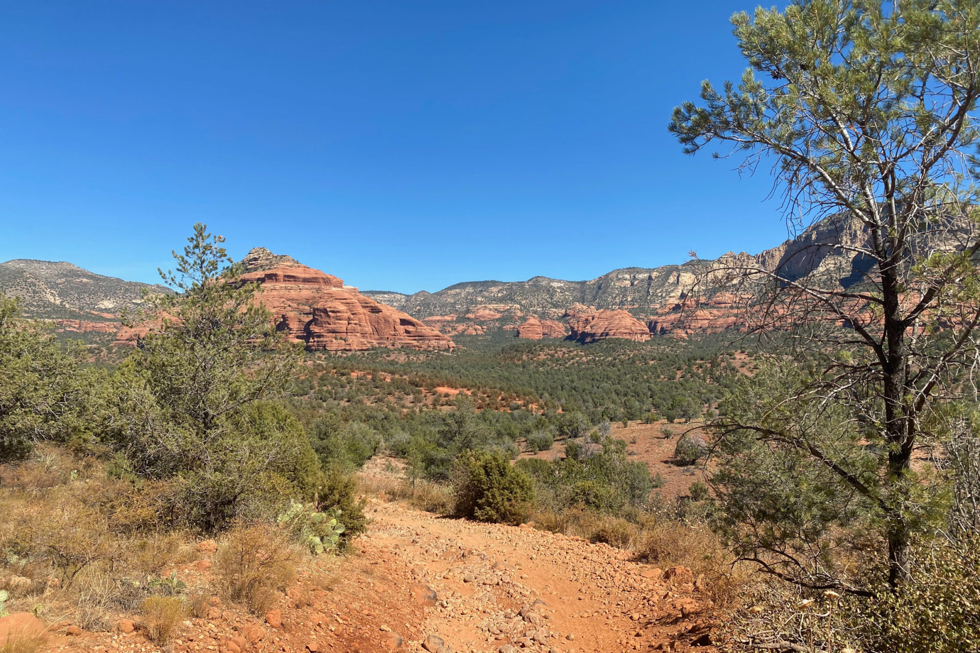 2020 Pinyons and Pines: Event Recap - BIKEPACKING.com