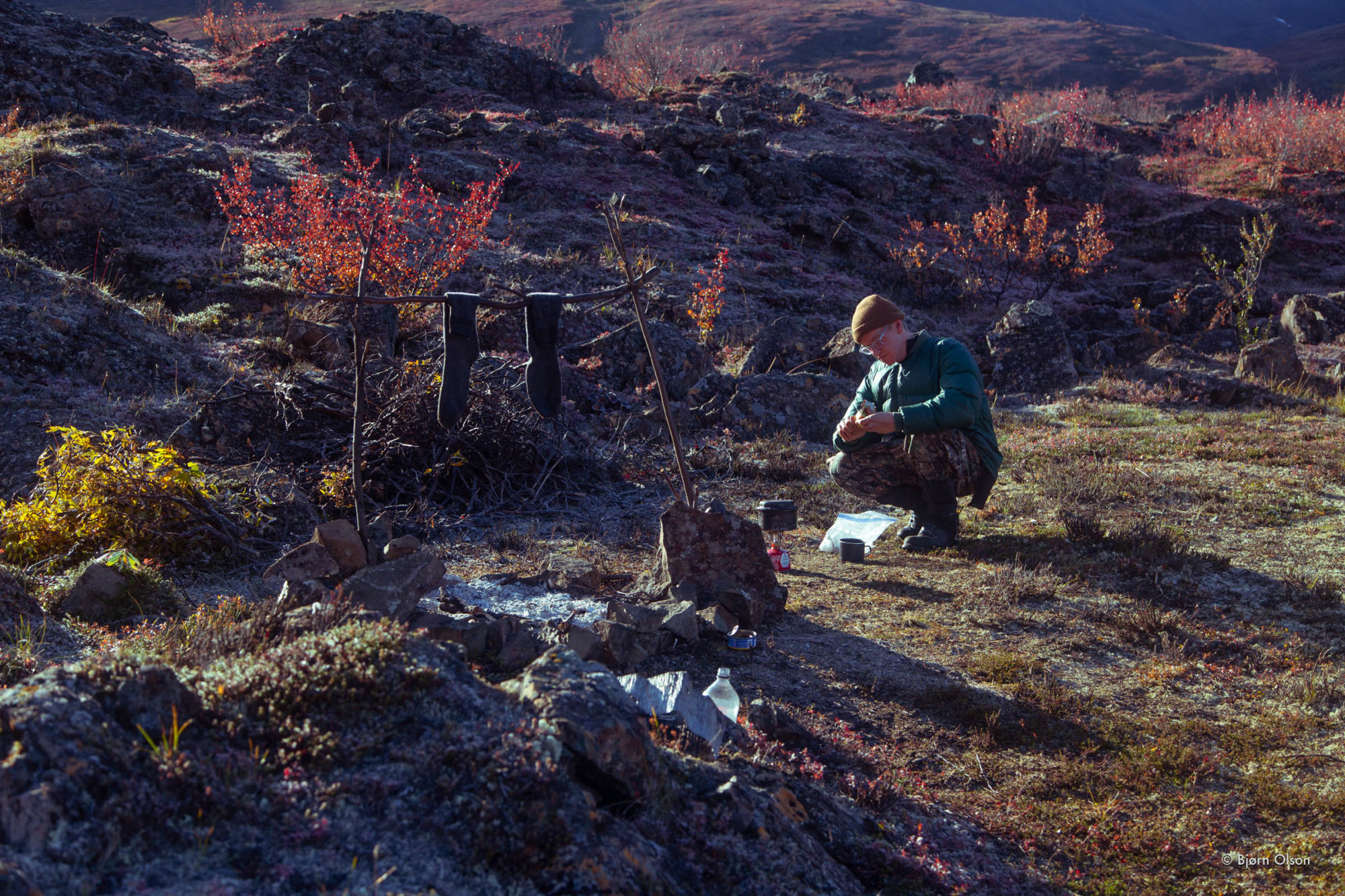 Tundra Nutrition: Human-Powered Caribou Hunting in the Alaska Range ...