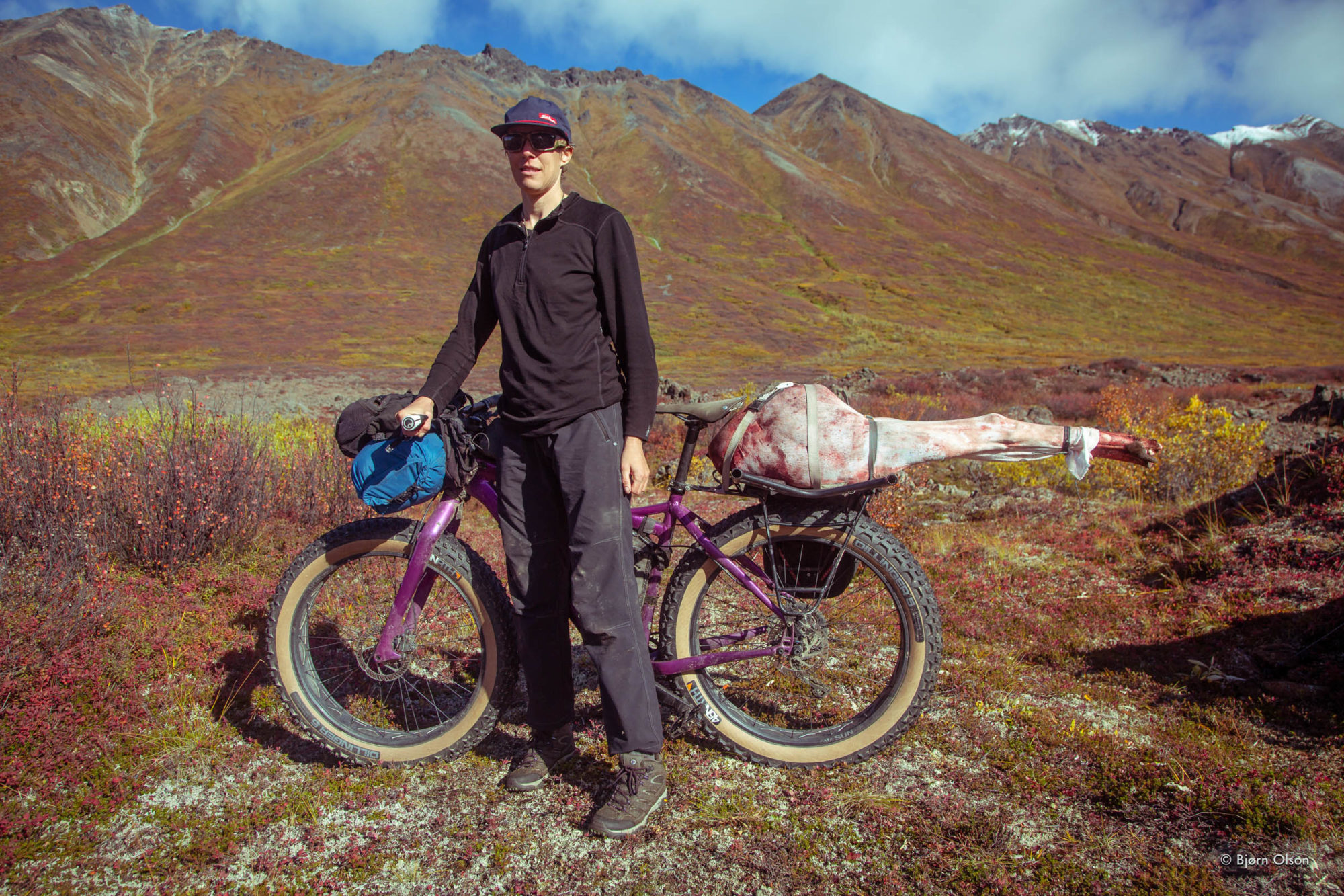 Tundra Nutrition: Human-Powered Caribou Hunting in the Alaska Range ...