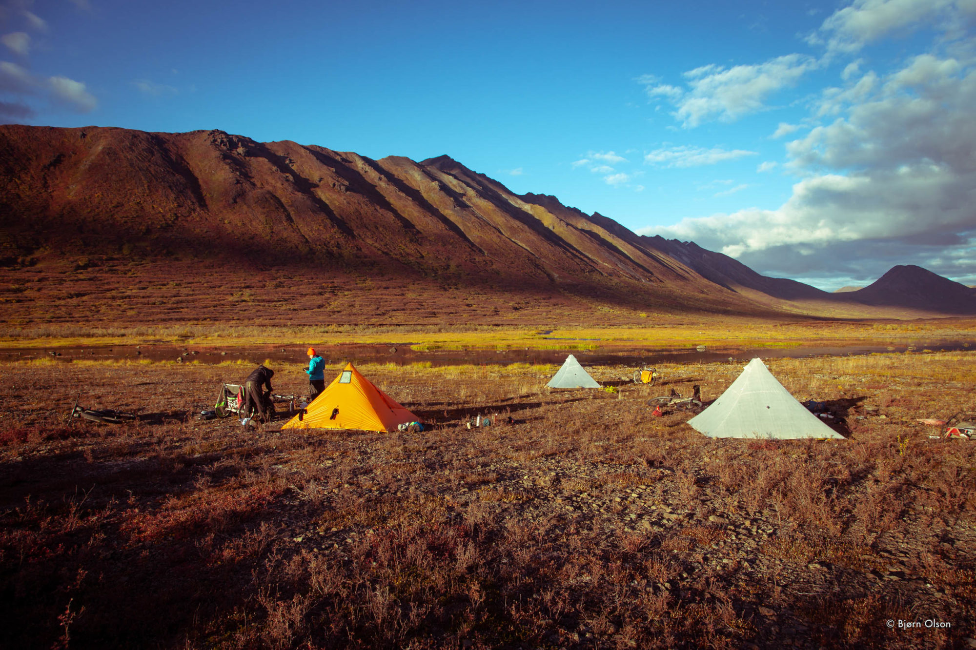 Tundra Nutrition: Human-Powered Caribou Hunting in the Alaska Range ...