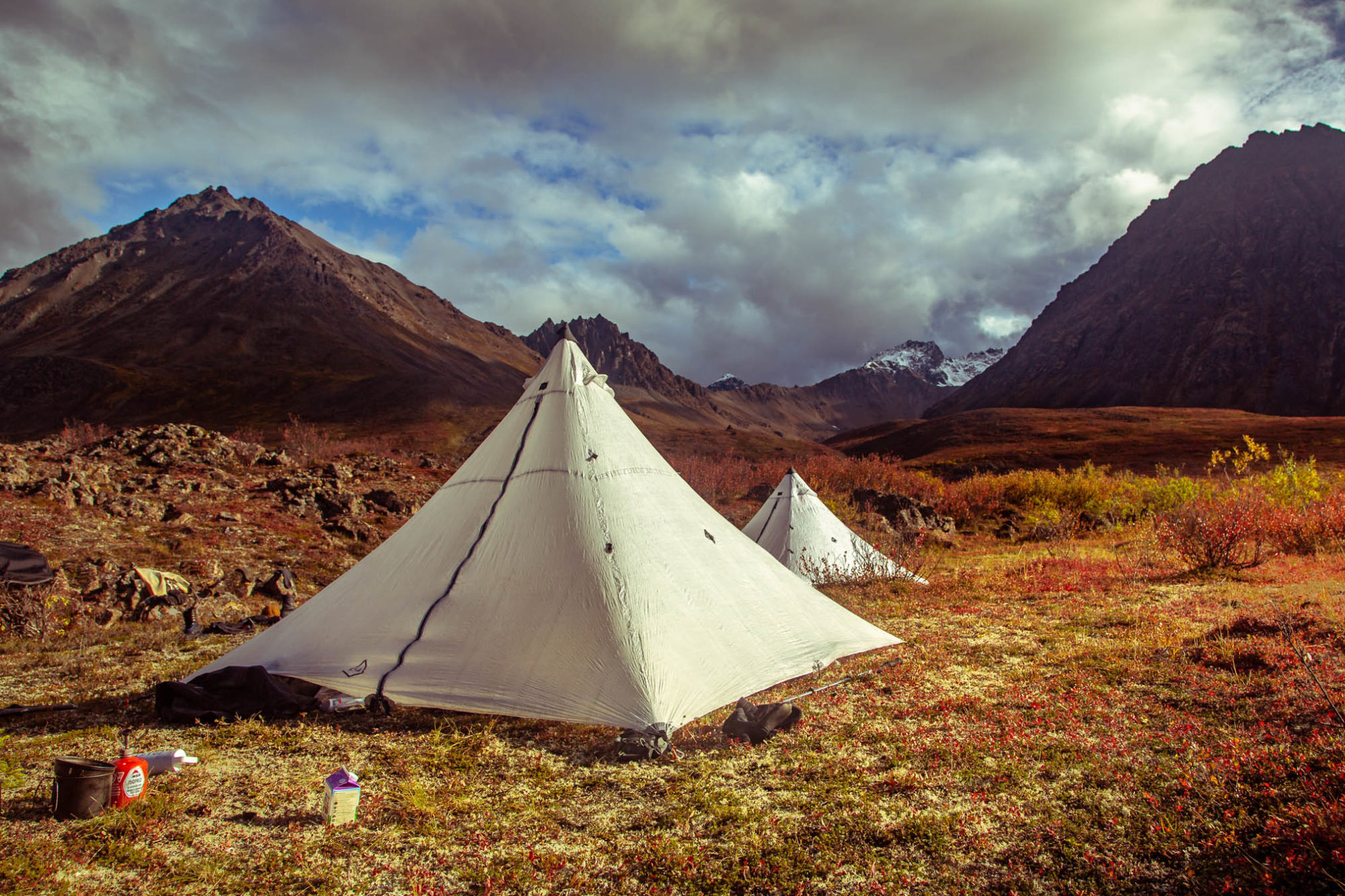 Tundra Nutrition: Human-Powered Caribou Hunting in the Alaska Range ...