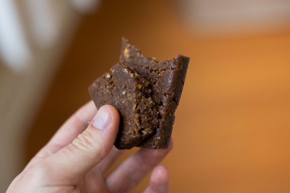 SANS Meal Bars: Just the Good Stuff - BIKEPACKING.com